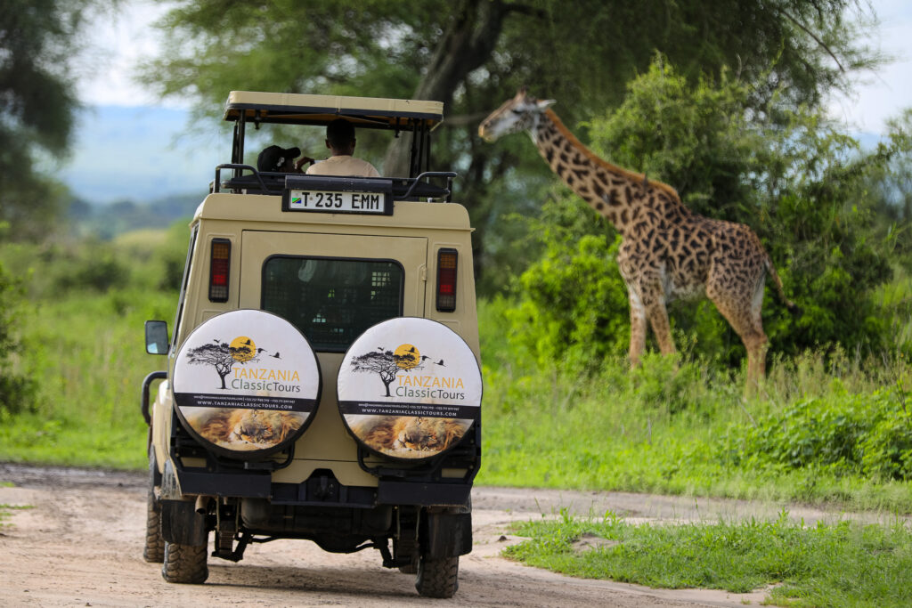 8 DAY LUXURY HIGH-END TANZANIA WILDLIFE SAFARI - Tanzania Classic Tours